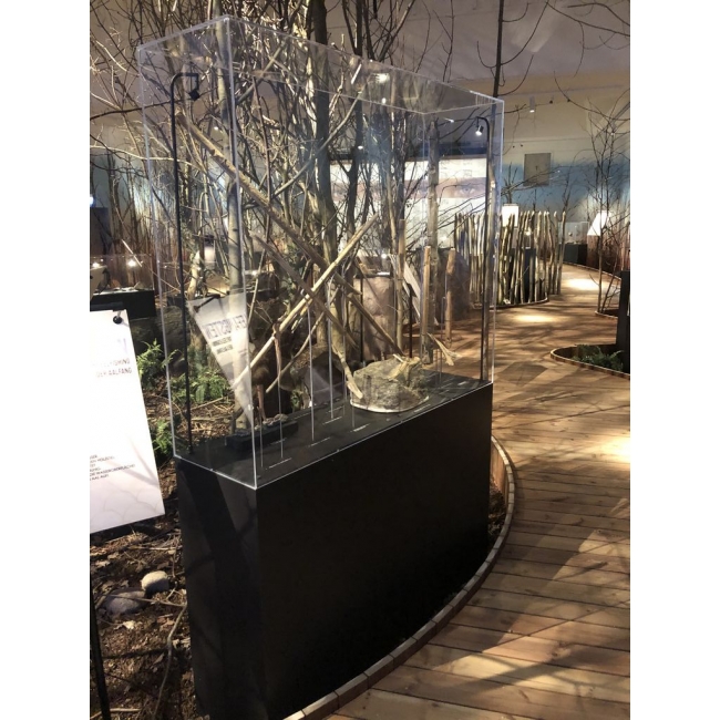 Protective display cover | acrylic showcase | exhibition protection
